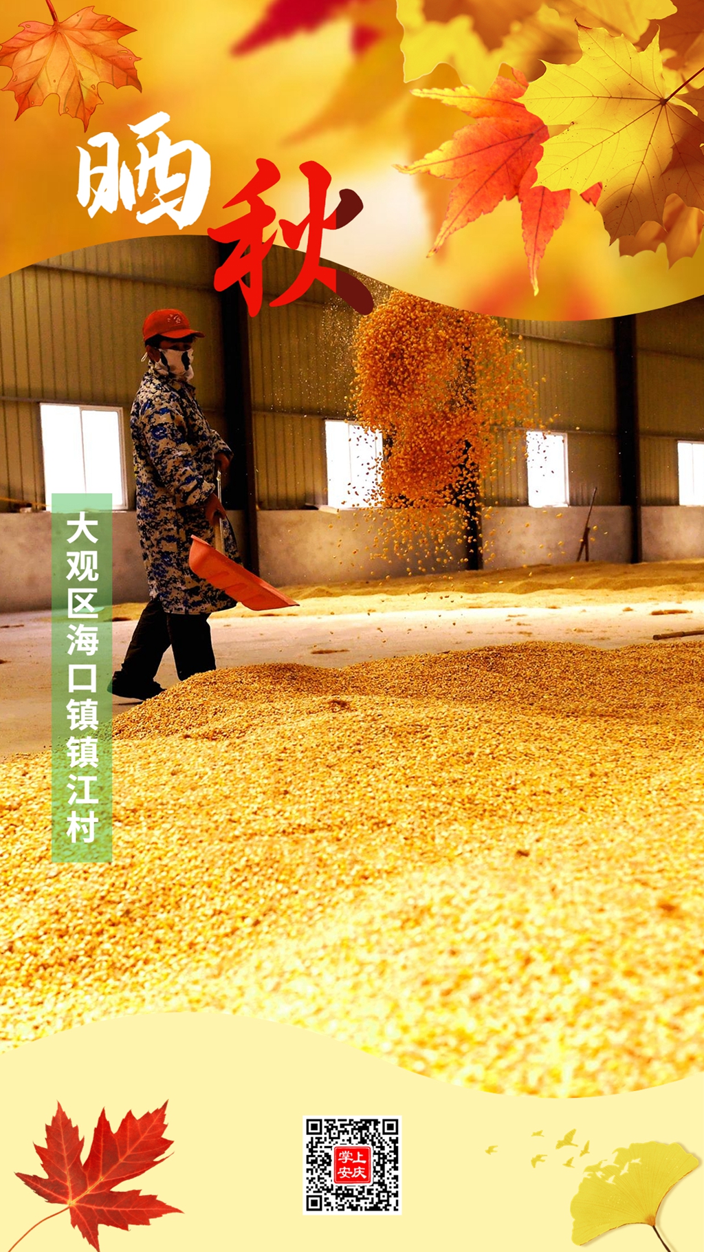 大美安庆·晒秋-安庆新闻网